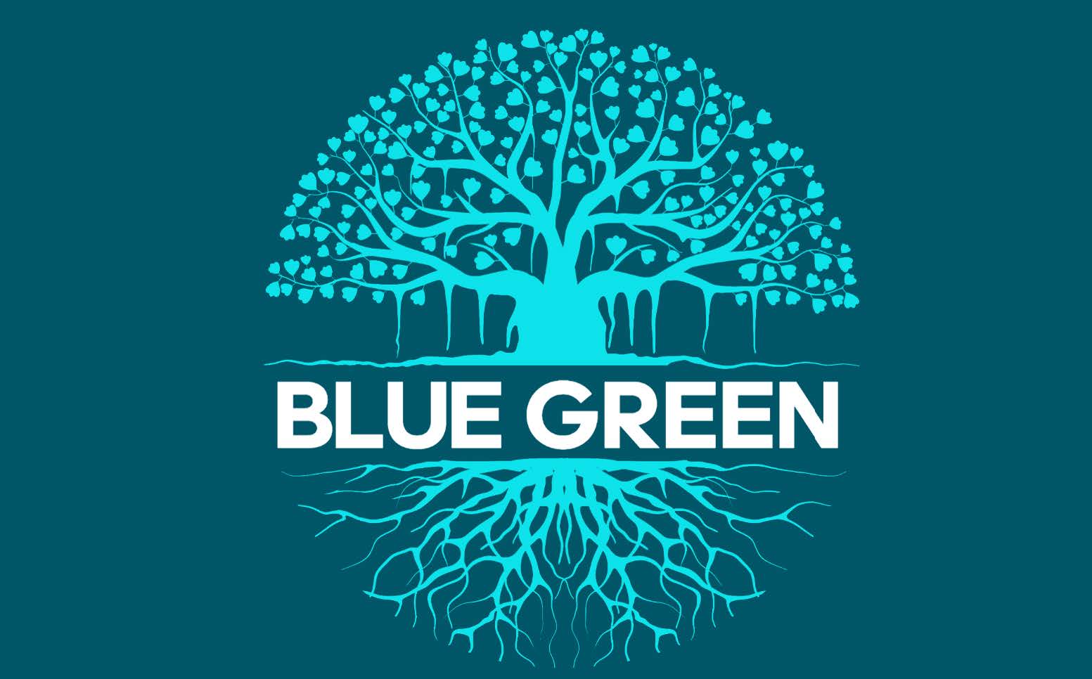 Co-Founder - Job in Sydney - Blue Green Australia