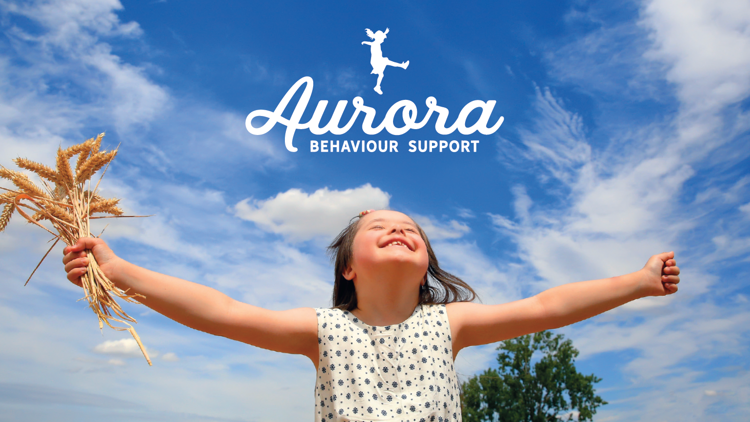 Positive Behaviour Support Clinician - Dubbo - Job in Dubbo & Central ...