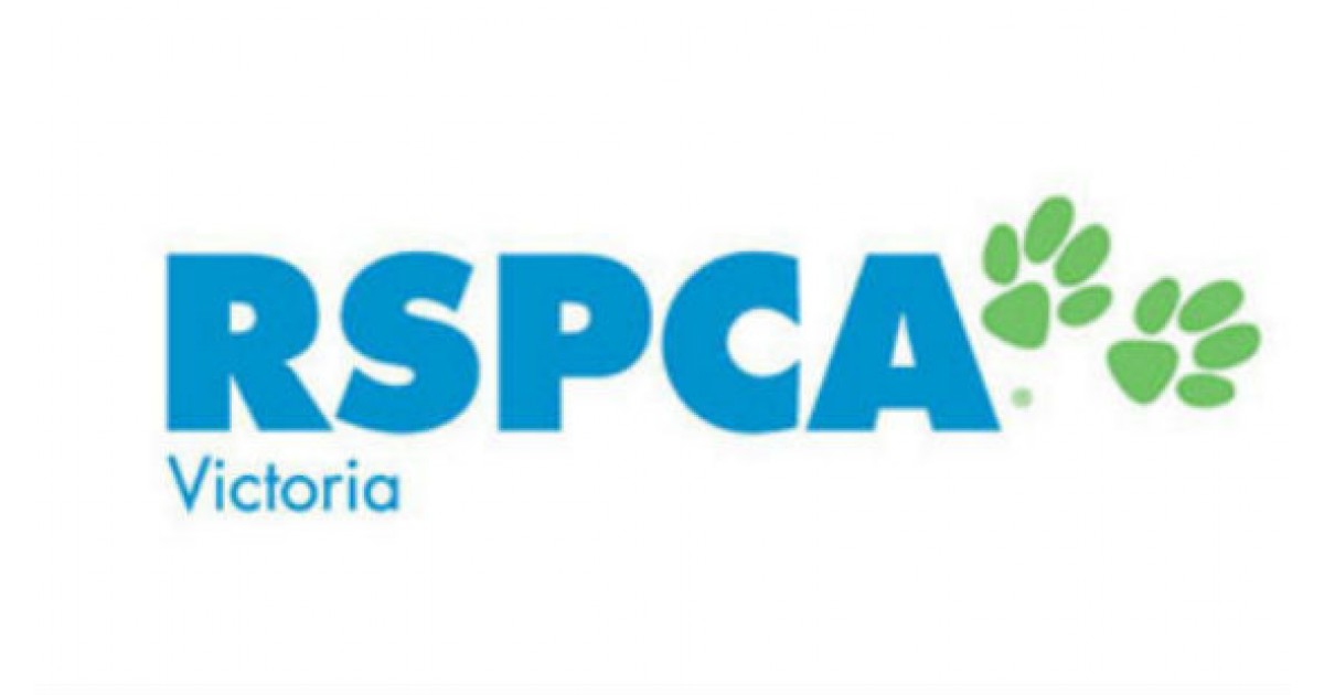 Corporate Partnerships Manager - Job in Melbourne - RSPCA (Victoria)