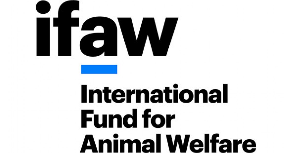 Donor Relations Coordinator - Job in Sydney - International Fund for ...