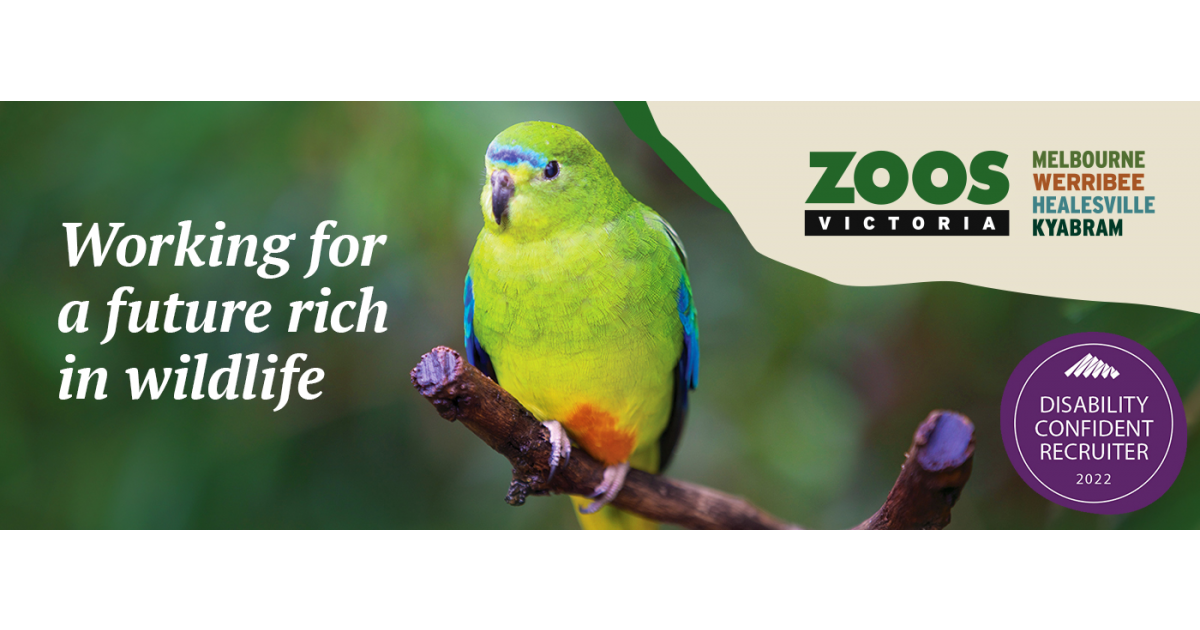Relationship Manager Philanthropy - Zoos Victoria - Job in Melbourne ...