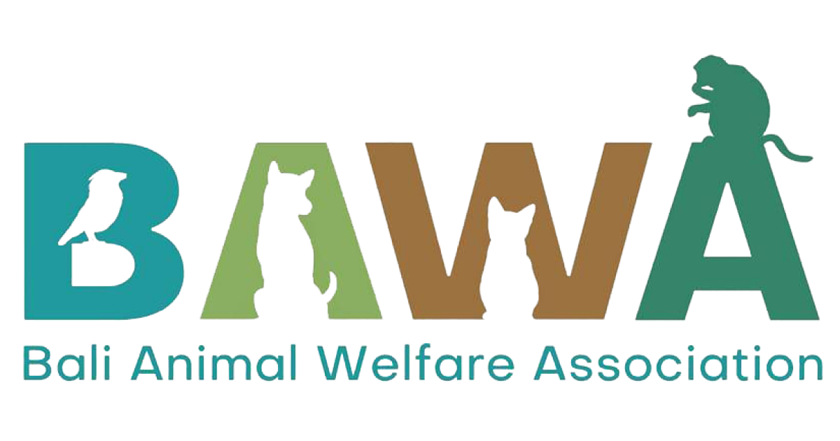Fundraising & Communications Manager - Ubud, Bali / Remote - Job in ...