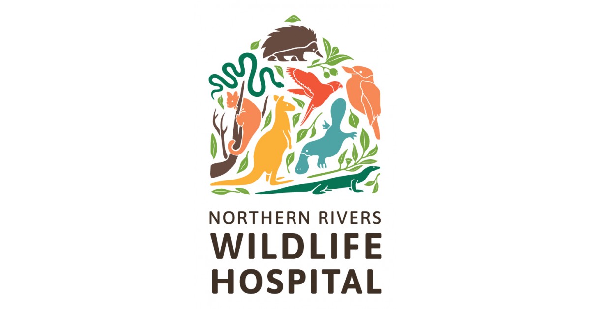 Lead Wildlife Veterinarian - Wollongbar - Job in Wollongbar - Northern ...
