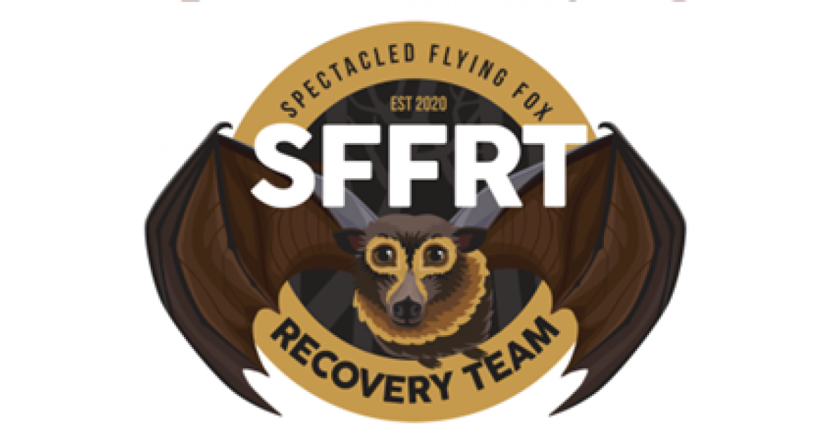 Spectacled Flying Fox Recovery Team Coordinator - Cairns / Work from ...