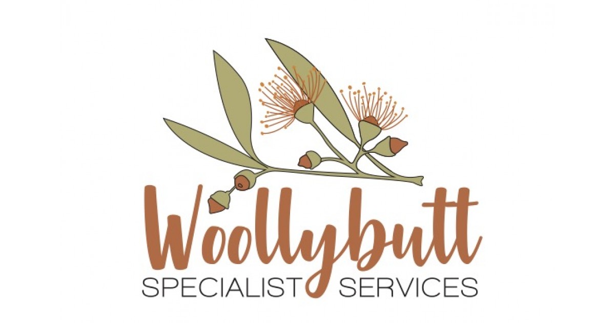 Behaviour Support Practitioner - Job in Darwin - Woollybutt Specialist Services