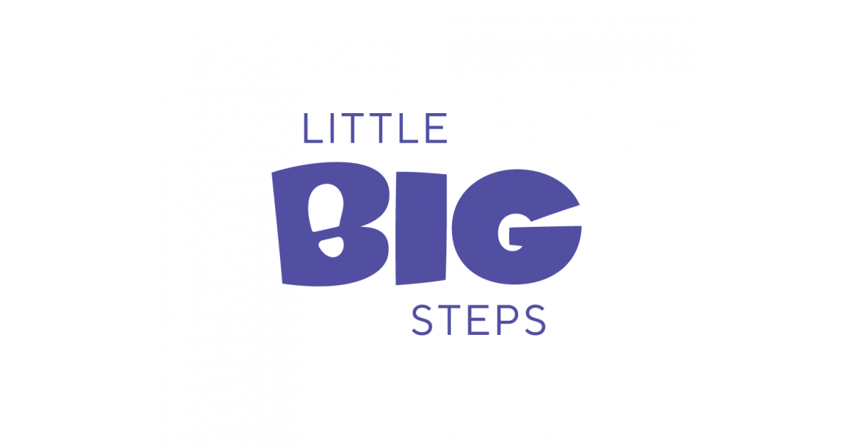 Chief Executive Officer - Little Big Steps - Job in Melbourne - SACS ...